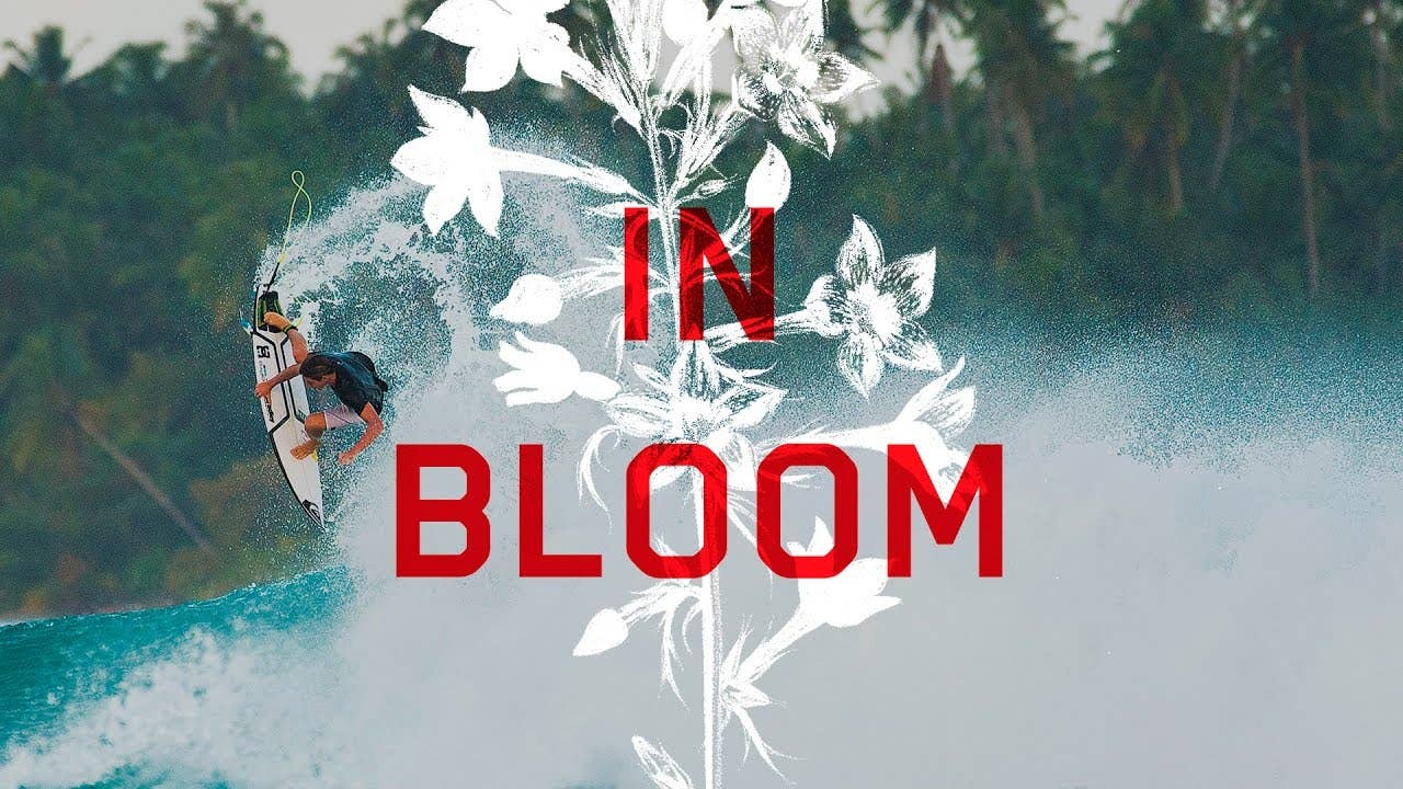 SURFING Presents Leo Fioravanti In Bloom - Surfer