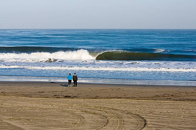 Morgan Maassen | Noseeums - Surfer