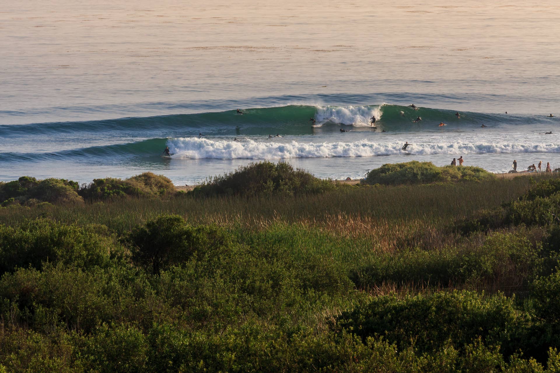 Waves Surfrider Saved: Trestles - Surfer