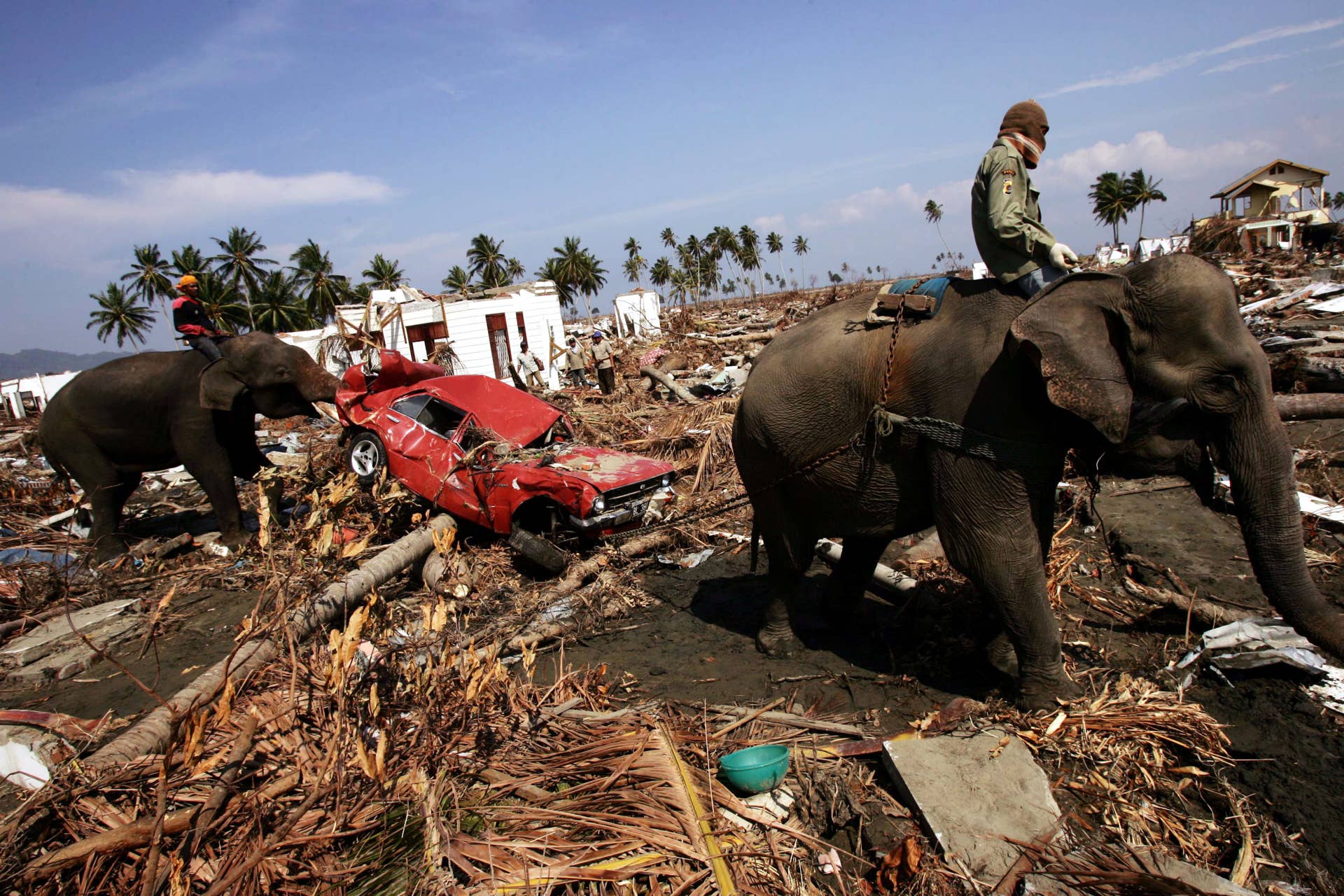 20 Years Later: Remembering the 2004 Indian Ocean Tsunami - Surfer