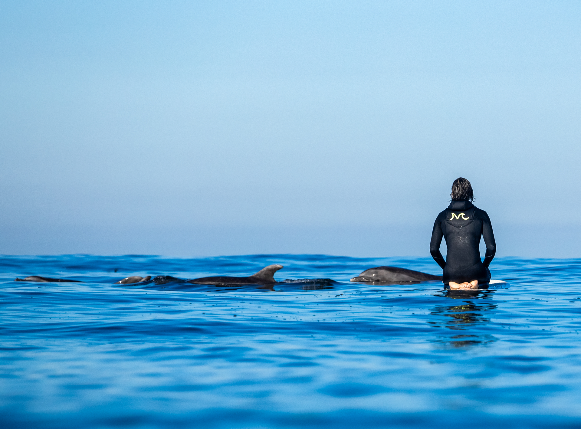 Winners of SURFER's Emerging Brands Grant Announced - Surfer