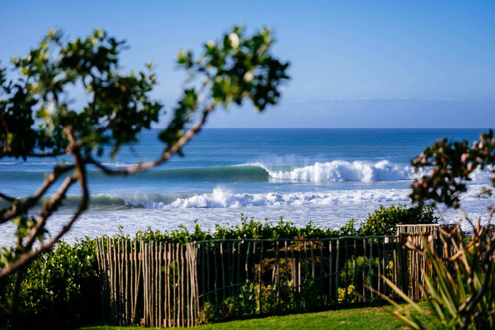 Dates, Venues Announced for 2025 Save The Waves Film Festival - Surfer