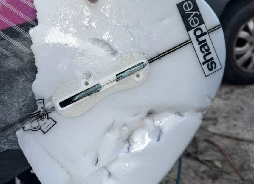9-Year-Old Surfer’s Board Obliterated in Shark Attack - Surfer