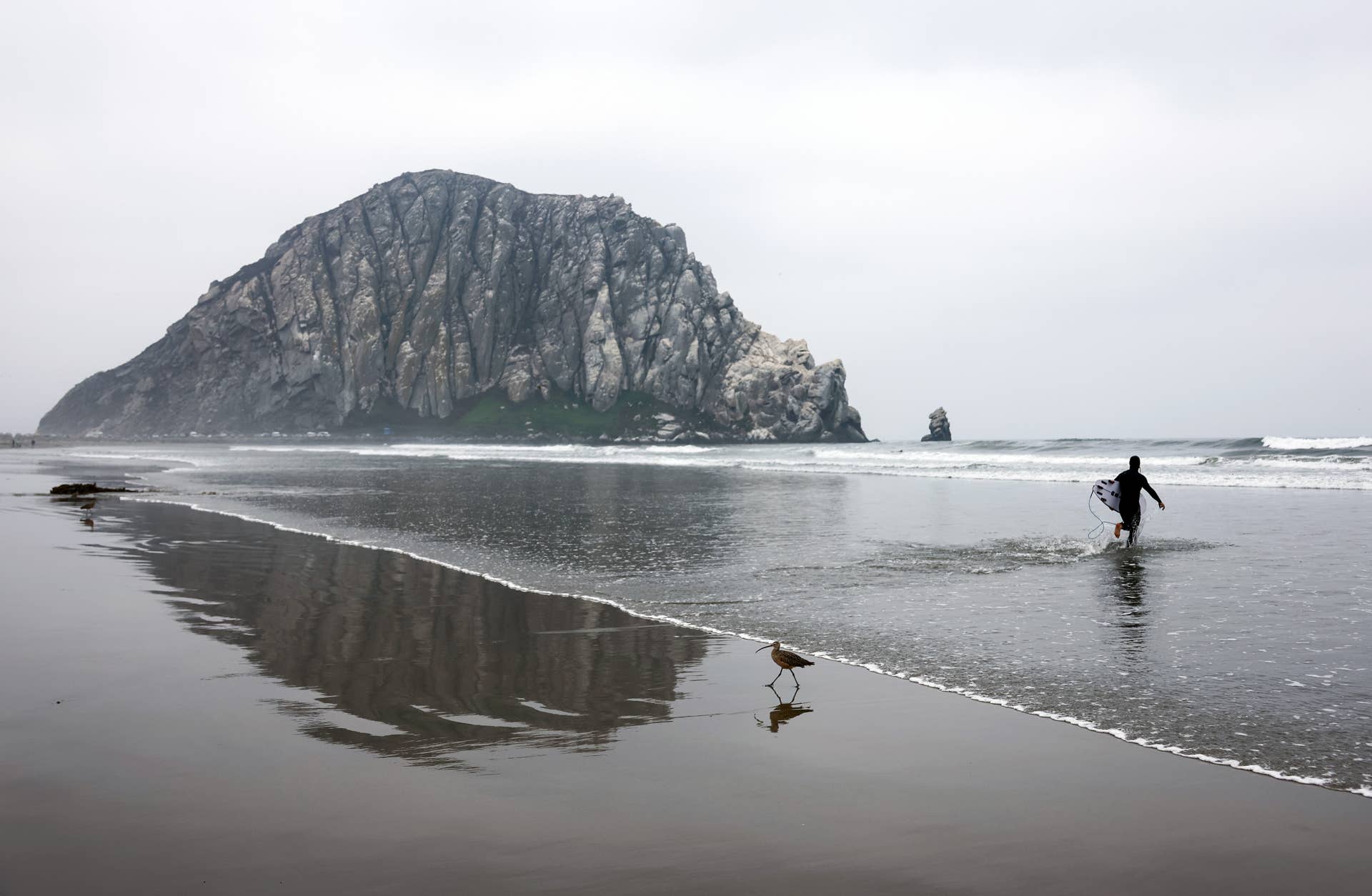 Stand-up Paddleboarder Arrested for Alleged Assault in Morro Bay - Surfer