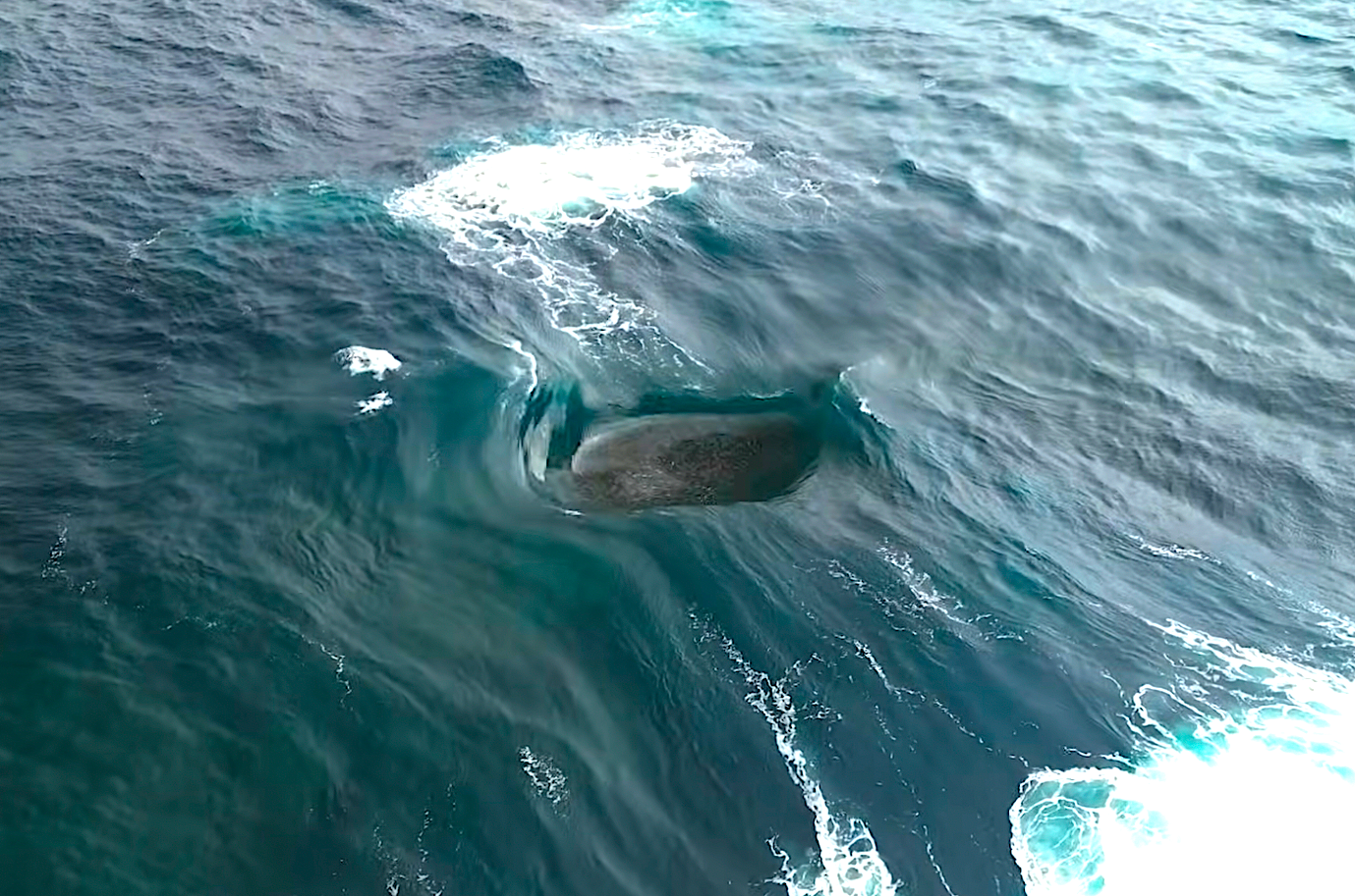 Inside the World’s Craziest Wave: ‘Everyone Thinks It’s AI’ (Video ...