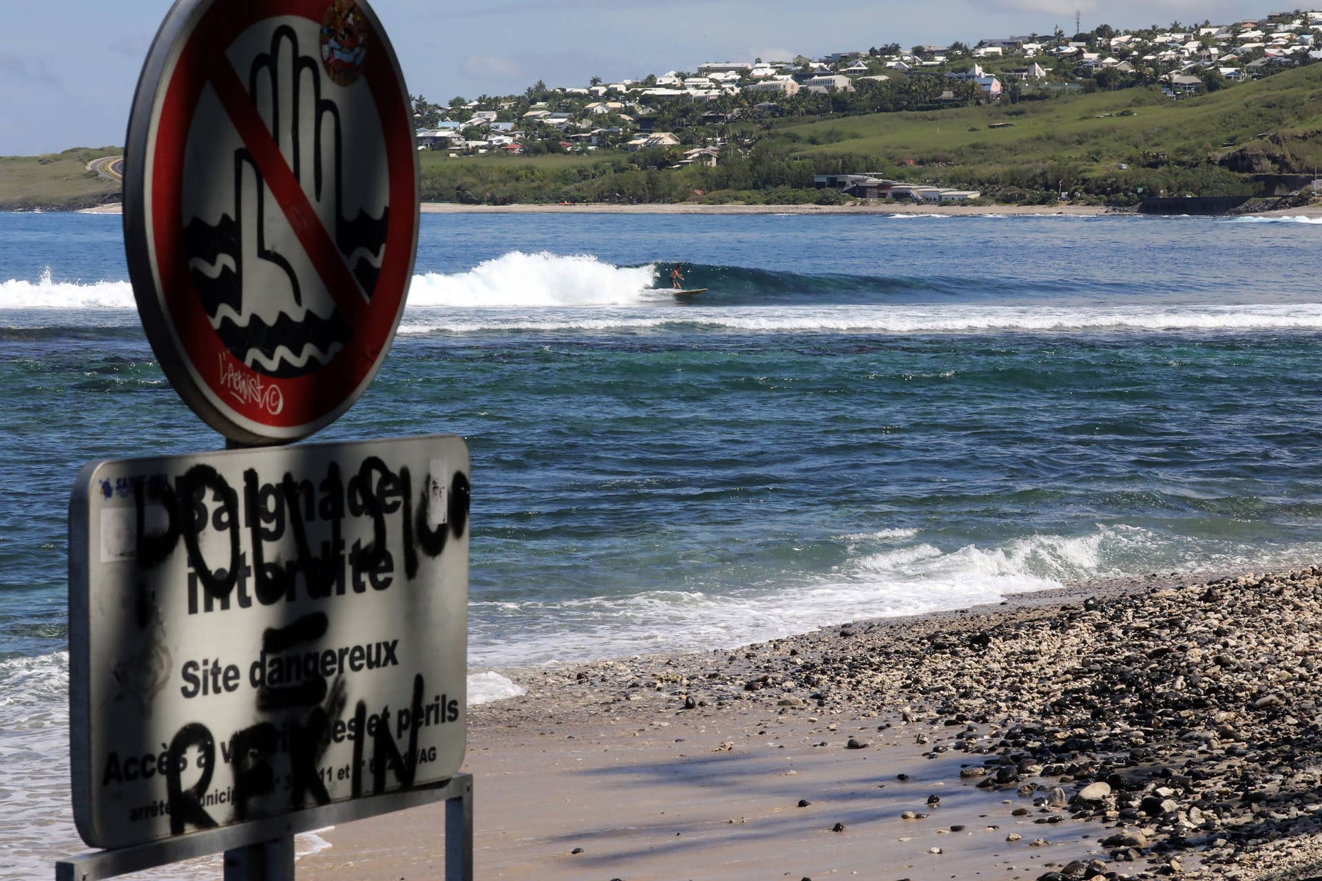 What's the Shark Attack Risk For Reunion Island in 2026? - Surfer