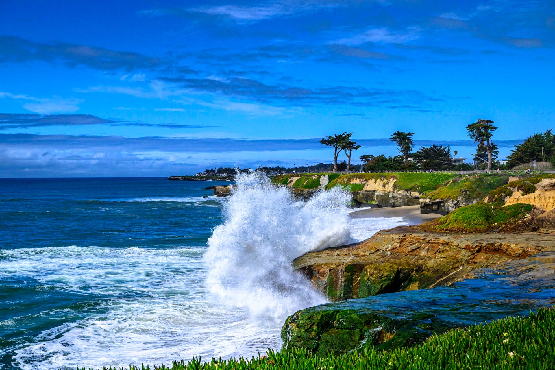 Teen Dies After Knocked Unconscious at Popular CA Surf Spot - Surfer