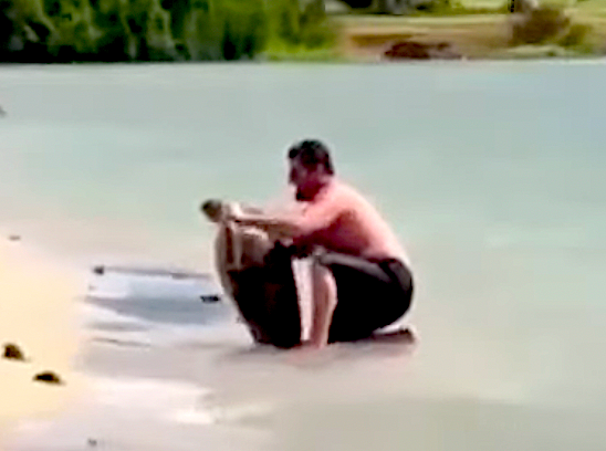 Viral Video Shows Man Illegally Handling Hawaiian Sea Turtle - Surfer