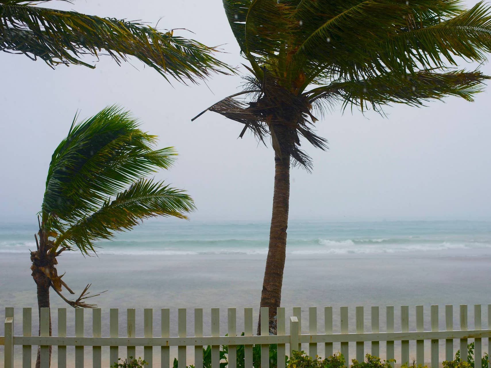 Cyclone Vaianu Slams Fiji as Tavarua Surfers Evacuate - Surfer