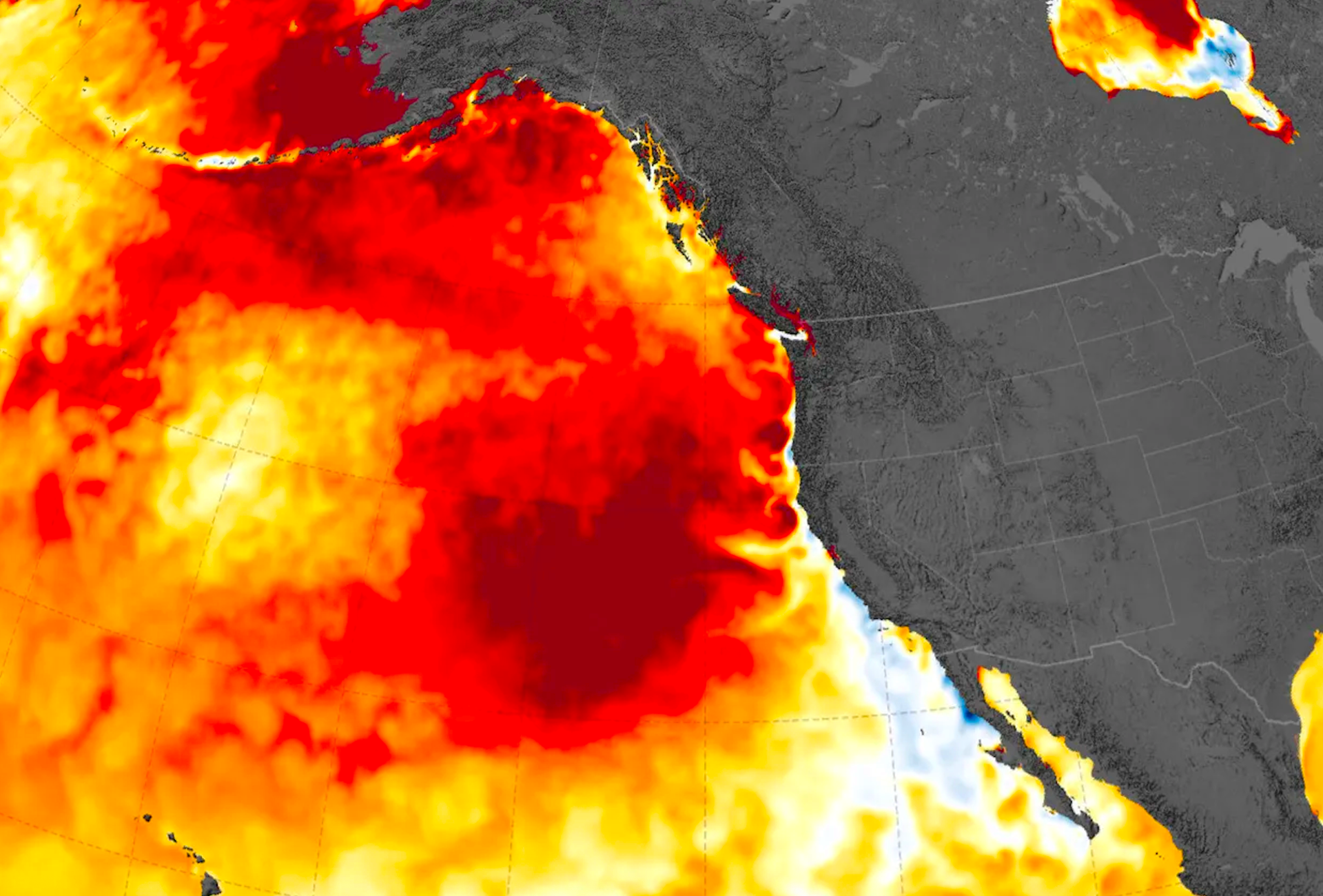 ‘The Blob’ Marine Heatwave Shatters Records off California - Surfer