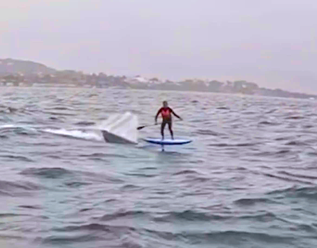Fatal Shark Attack Site Named One of World's Best Beaches - Surfer