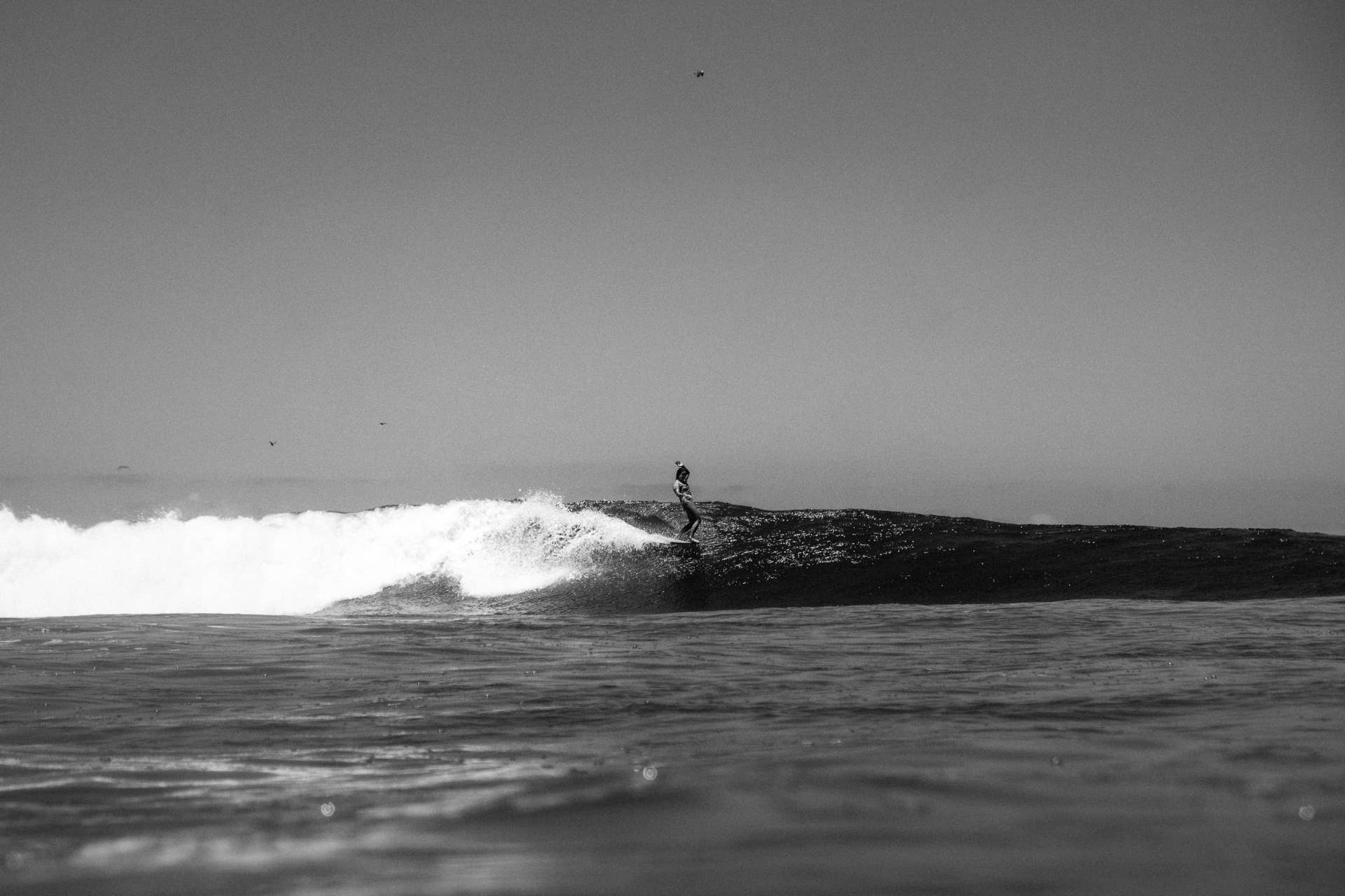 Mexi Log Fest 2026: Meet the Surfers to Watch in Mazatlán - Surfer