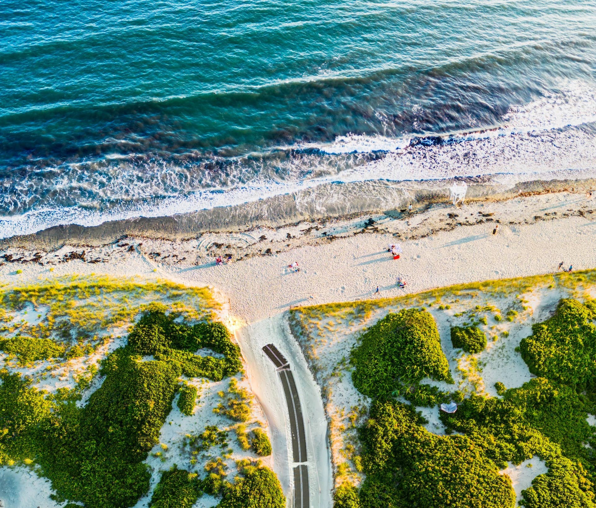 Inside Rhode Island’s Surf, Shotguns, and Shellfish Binge - Surfer