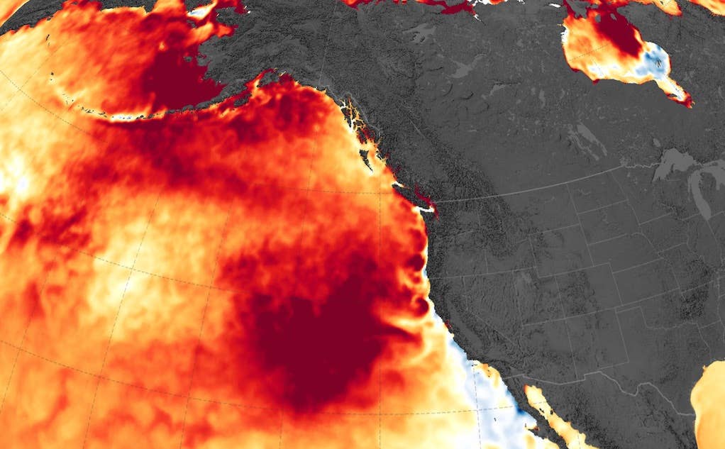 Massive 9,000-Mile Pacific Heatwave Could Fuel El Niño - Surfer
