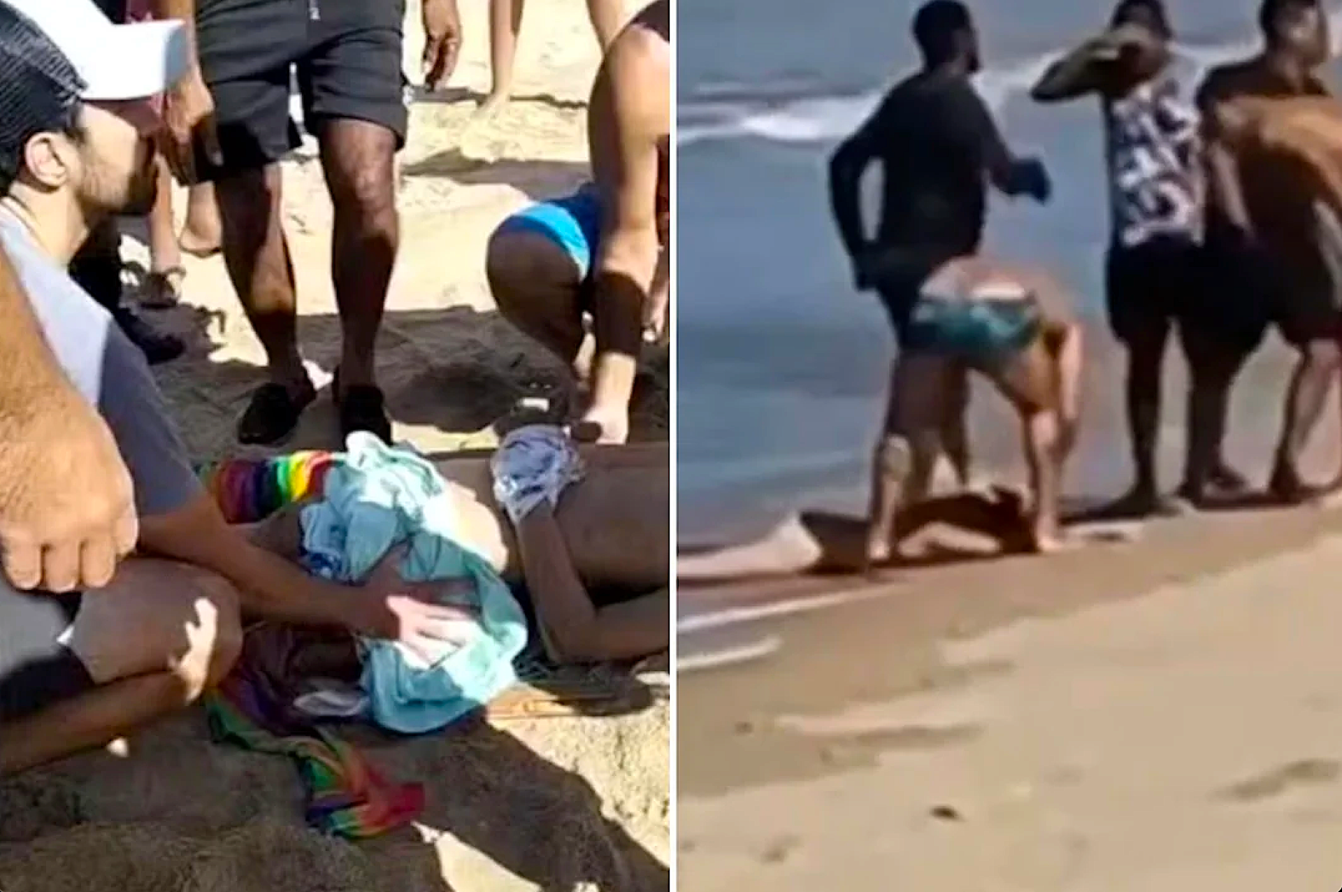 'Serious Injuries': 8ft Shark Mauls Surfer in Honolulu - Surfer
