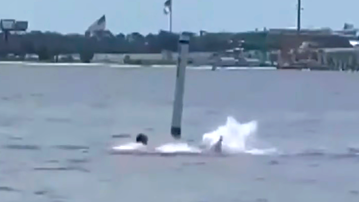 Shark Attack Caught on Camera at Florida Navy Base - Surfer