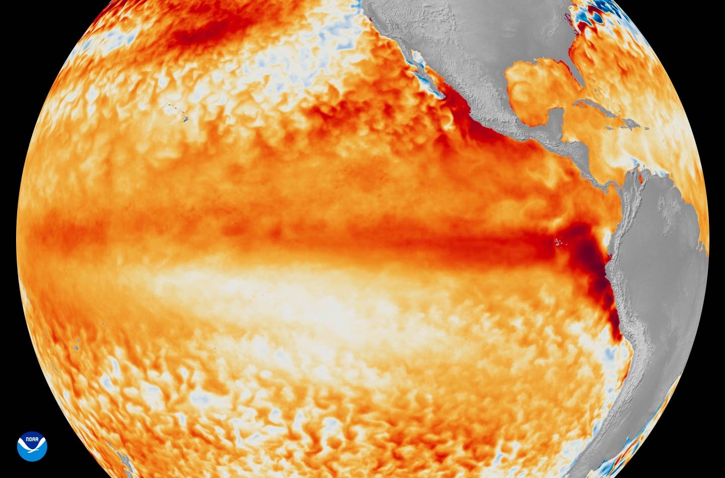‘Very Strong’ El Niño Is Official and Set to Pummel the Pacific - Surfer