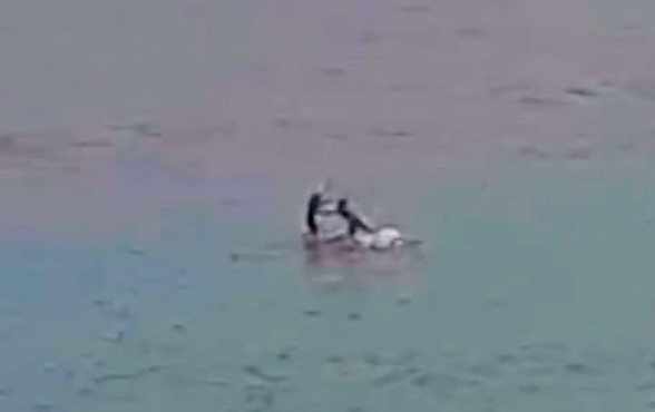 Surf Fight Footage Surfaces from Waikiki (Watch) - Surfer