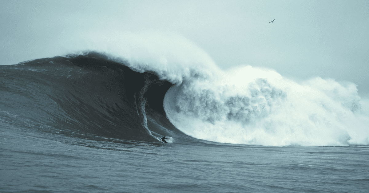 Watch: Meet Maverick’s Newest Local Heroes - Surfer