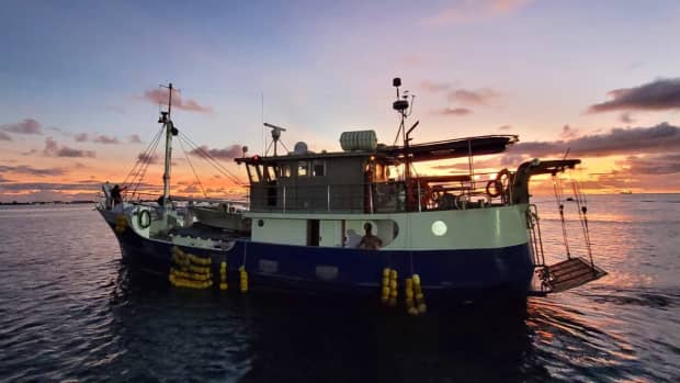 The Surf Adventure Never Ends For Captain Martin Daly - Surfer Culture