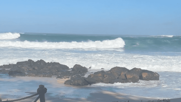 Watch: Rogue Wave Floods Lifeguard Tower During Historic Hawaii Swell ...