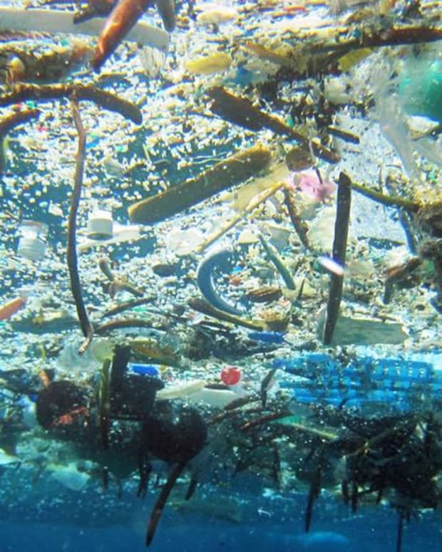 The Atlantic Garbage Patch - Surfer
