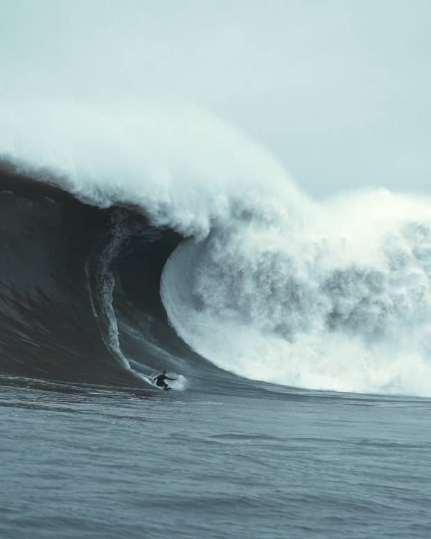 Watch: California Sea Lion Hijacks Maverick's Jet Ski - Surfer Culture