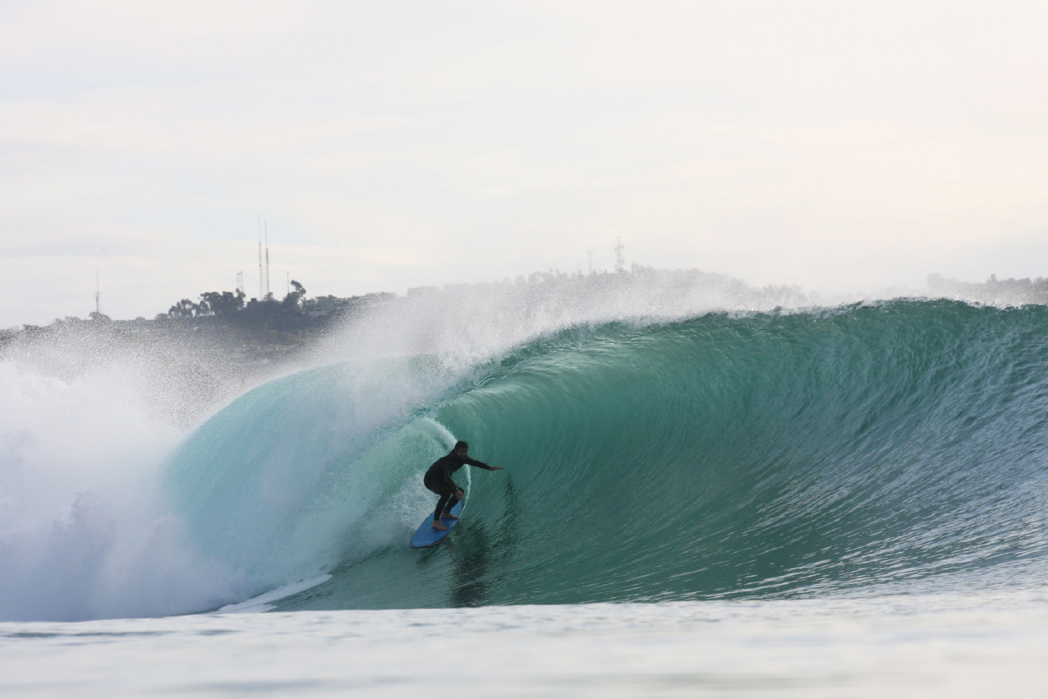 Joel Tudor X Spy's Crosstown Collection