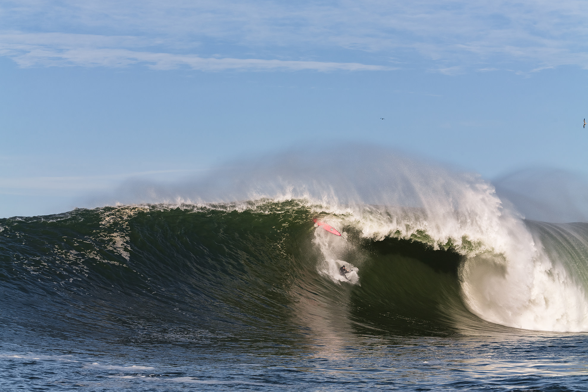 Watch: The Mad, Mad World Of Tom Lowe