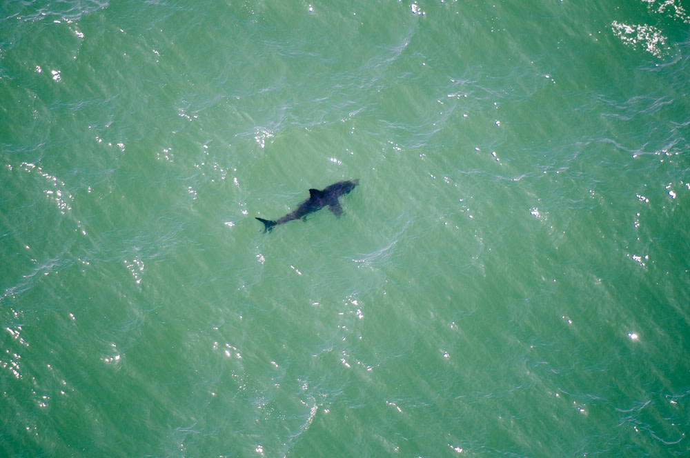 A Single Shade Of Grey