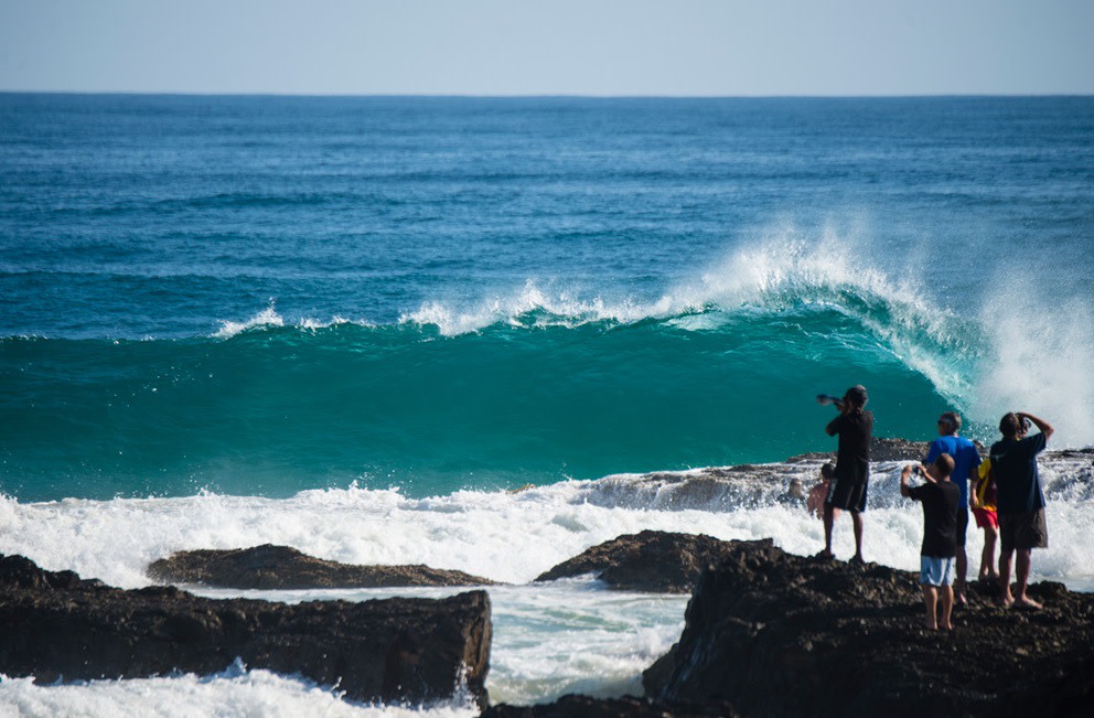 Shea Lopez's Picks for Snapper | SURFER Magazine