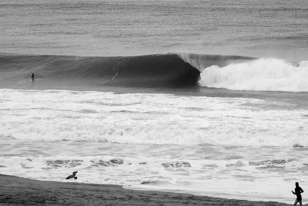 Los Angeles, California | SURFER Magazine