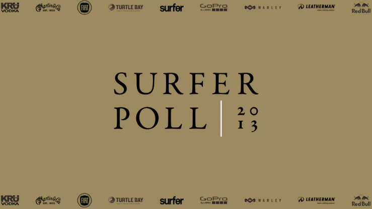 2013 SURFER Poll Highlights