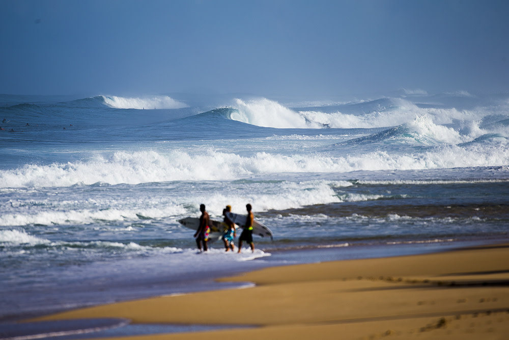 North Shore, Oahu | SURFER Magazine