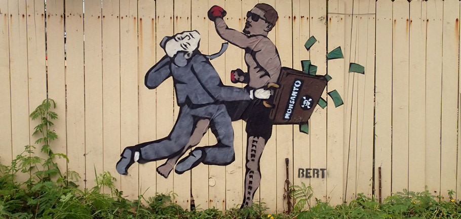 Hello, BERT | SURFER Magazine