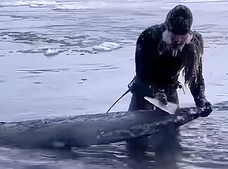 Winter Surf Tip: How To Deice Your Surfboard