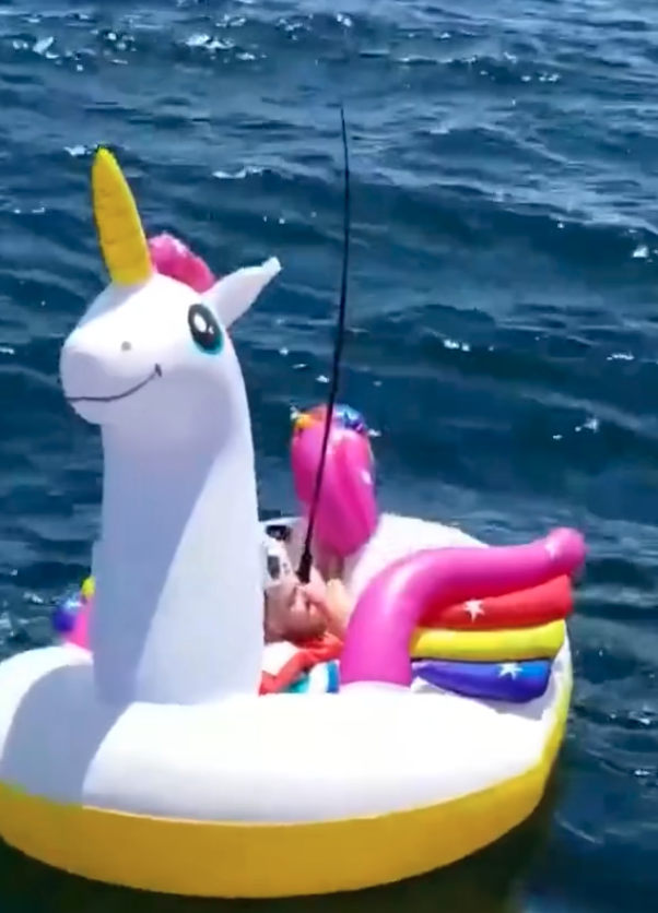 Florida Man In Unicorn Floaty Hooks 10-Foot Shark, Towed Four Miles ...