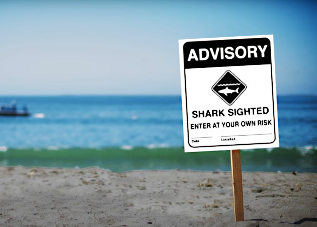 Five Reasons Not To Be Afraid Of Sharks