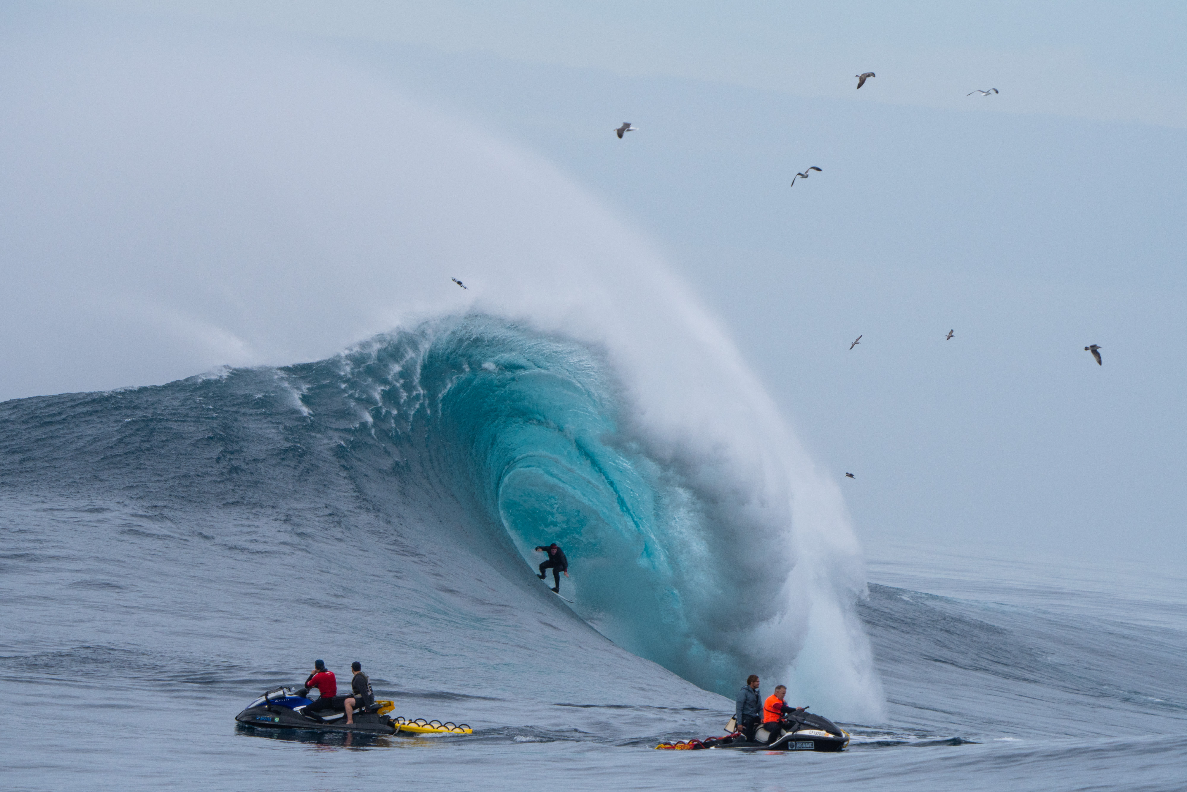 '100 Foot Wave' Returns to HBO (Trailer)