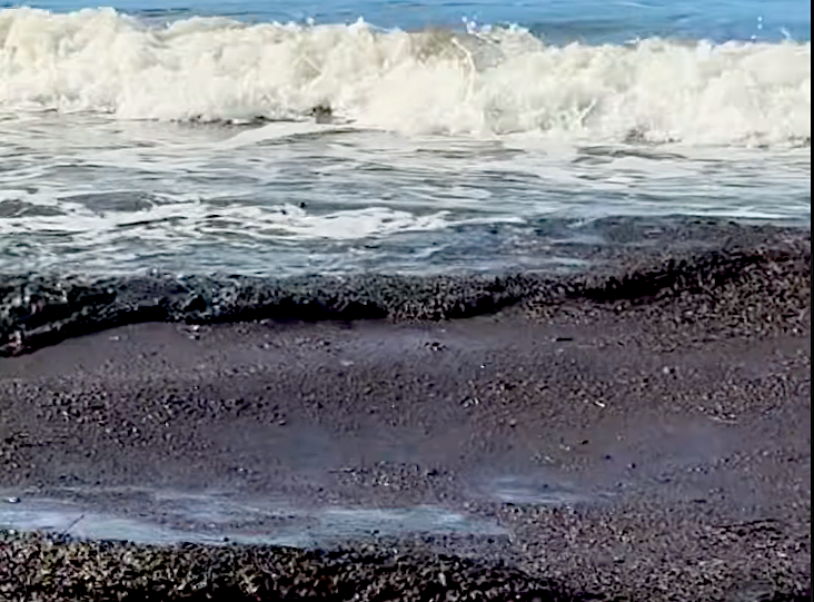Toxic Sludge Waves Break in Los Angeles After Fires (Video)