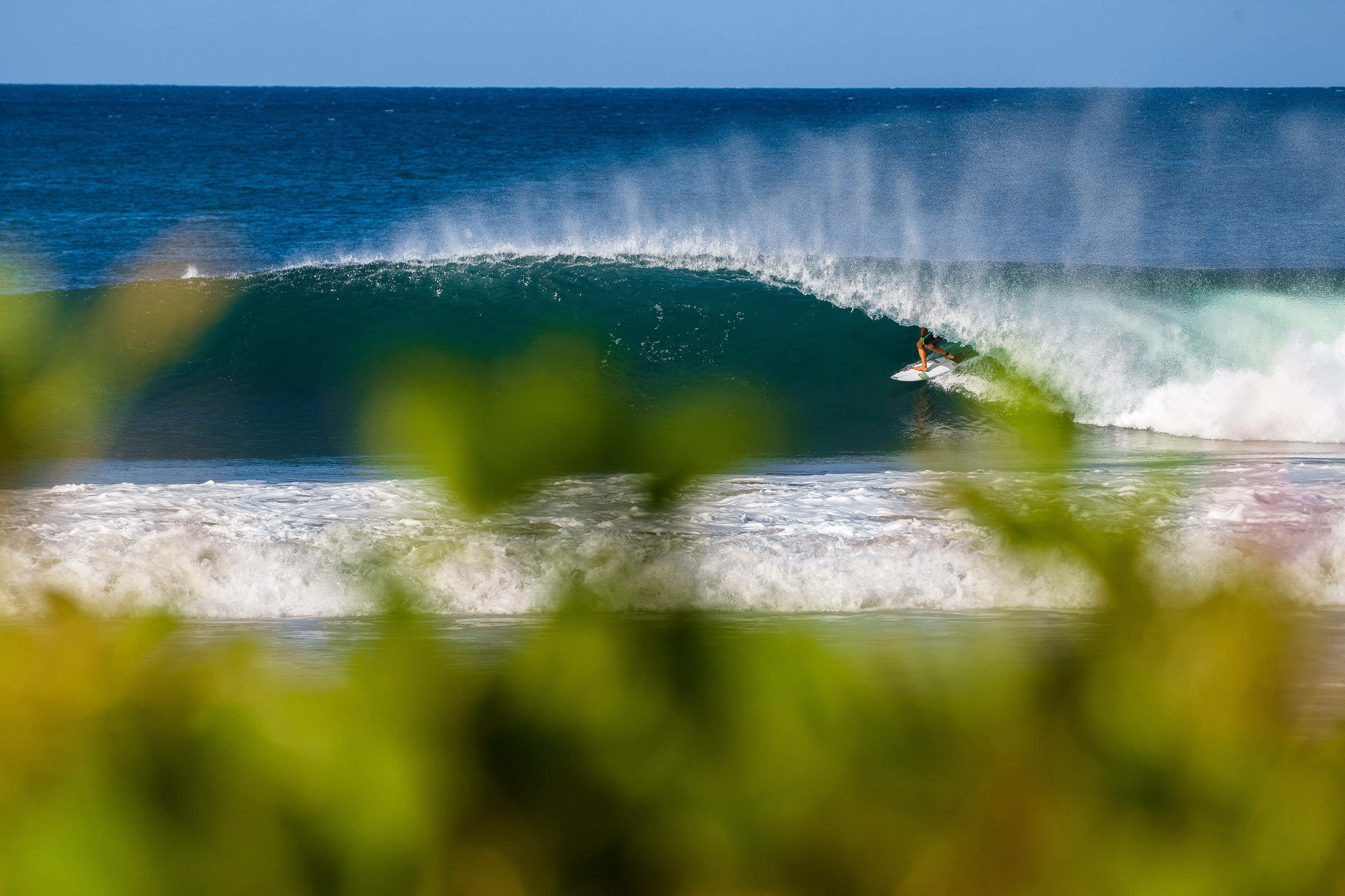 Ex-WSL Surfer Conner Coffin Has No Idea What He's Doing Next