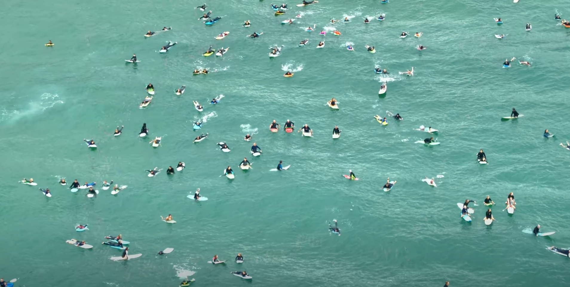 Shark Attack Survivor Joins World Record Breaking Largest Paddle-Out Ever