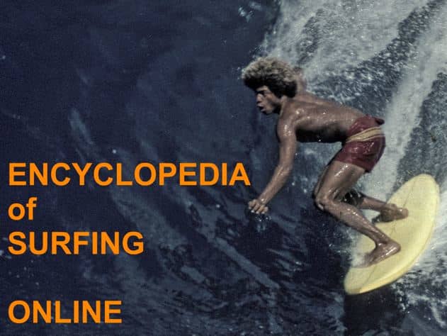 The E.O.S. is Alive - Surfer