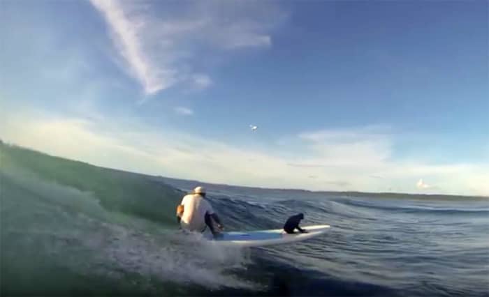 Well, Here's A Surfing Monkey - Surfer