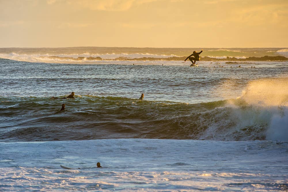 10 Things To Take Your Mind Off Sharks - Surfer