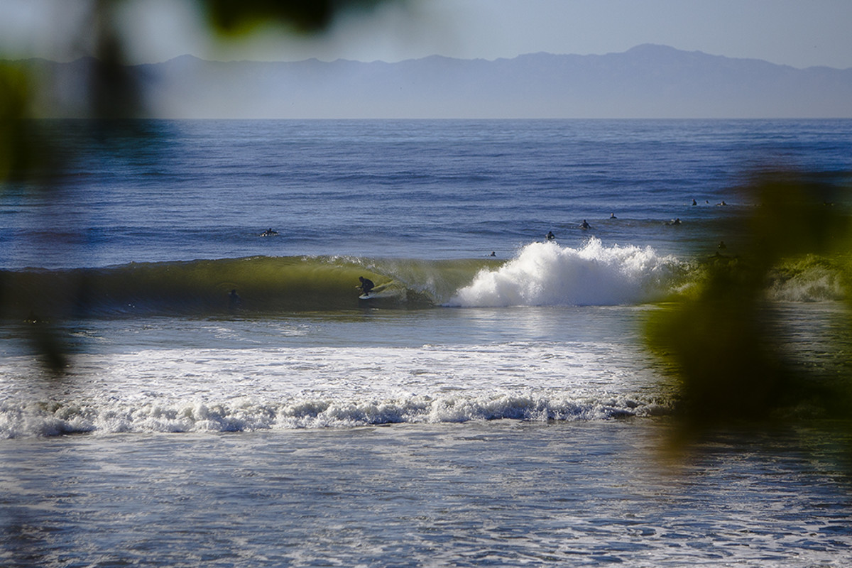 Rincon, California - Surfer