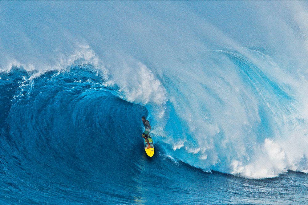 Review: Attractive Distractions | SURFER Magazine - Surfer