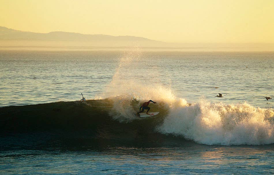 Coldwater Highlights - Surfer