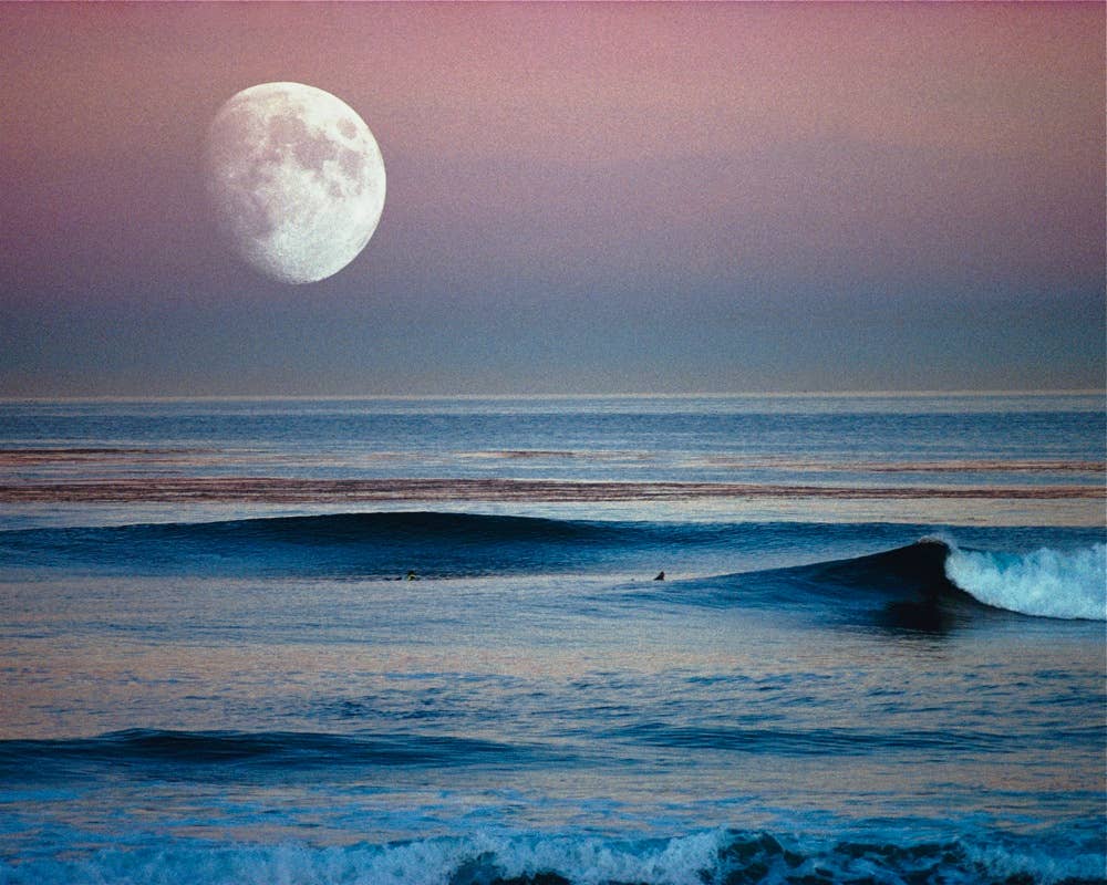 California Love: Part IV - Surfer