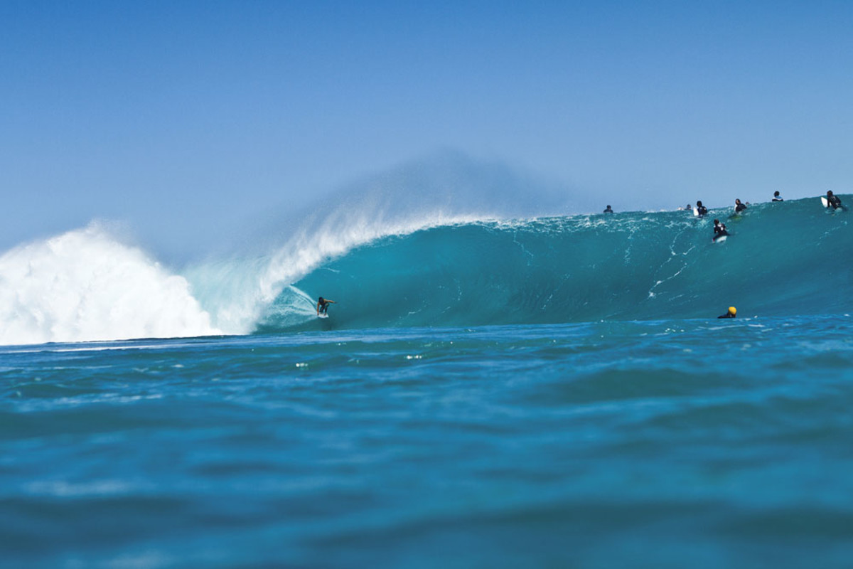 Louder Than The Crowd - Surfer